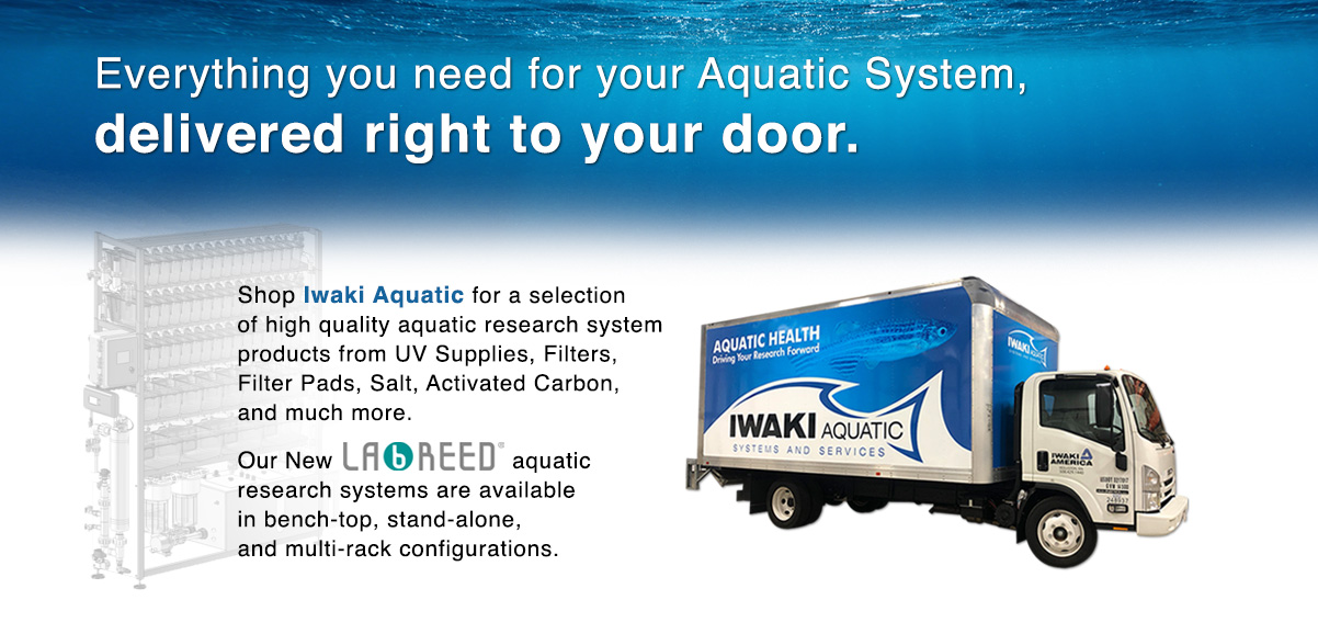 Iwaki Aquatic